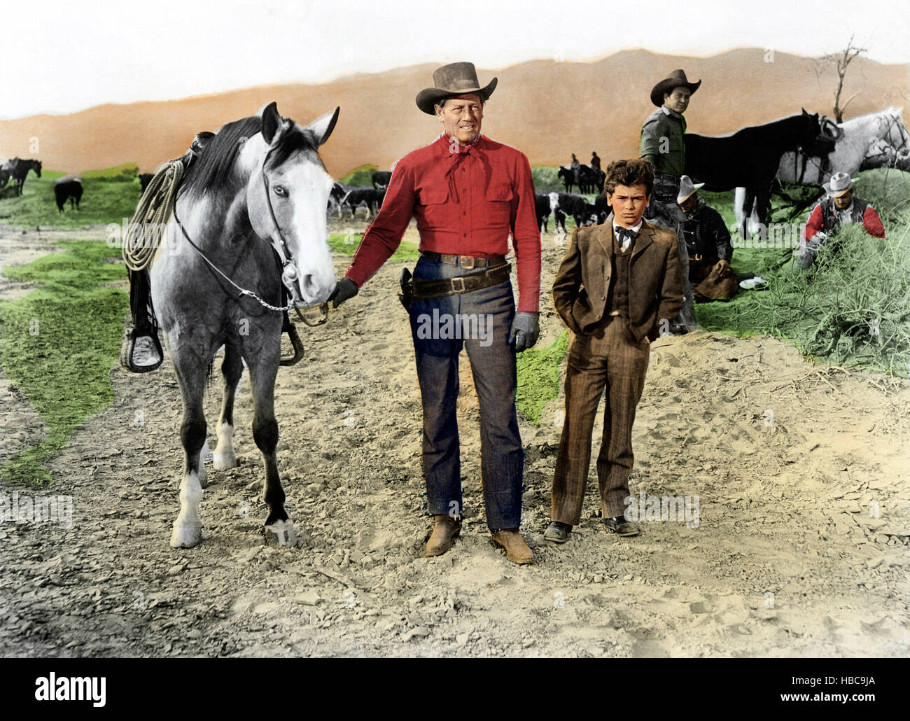 CATTLE DRIVE, from left: Joel McCrea, Dean Stockwell, 1951 Stock Photo ...