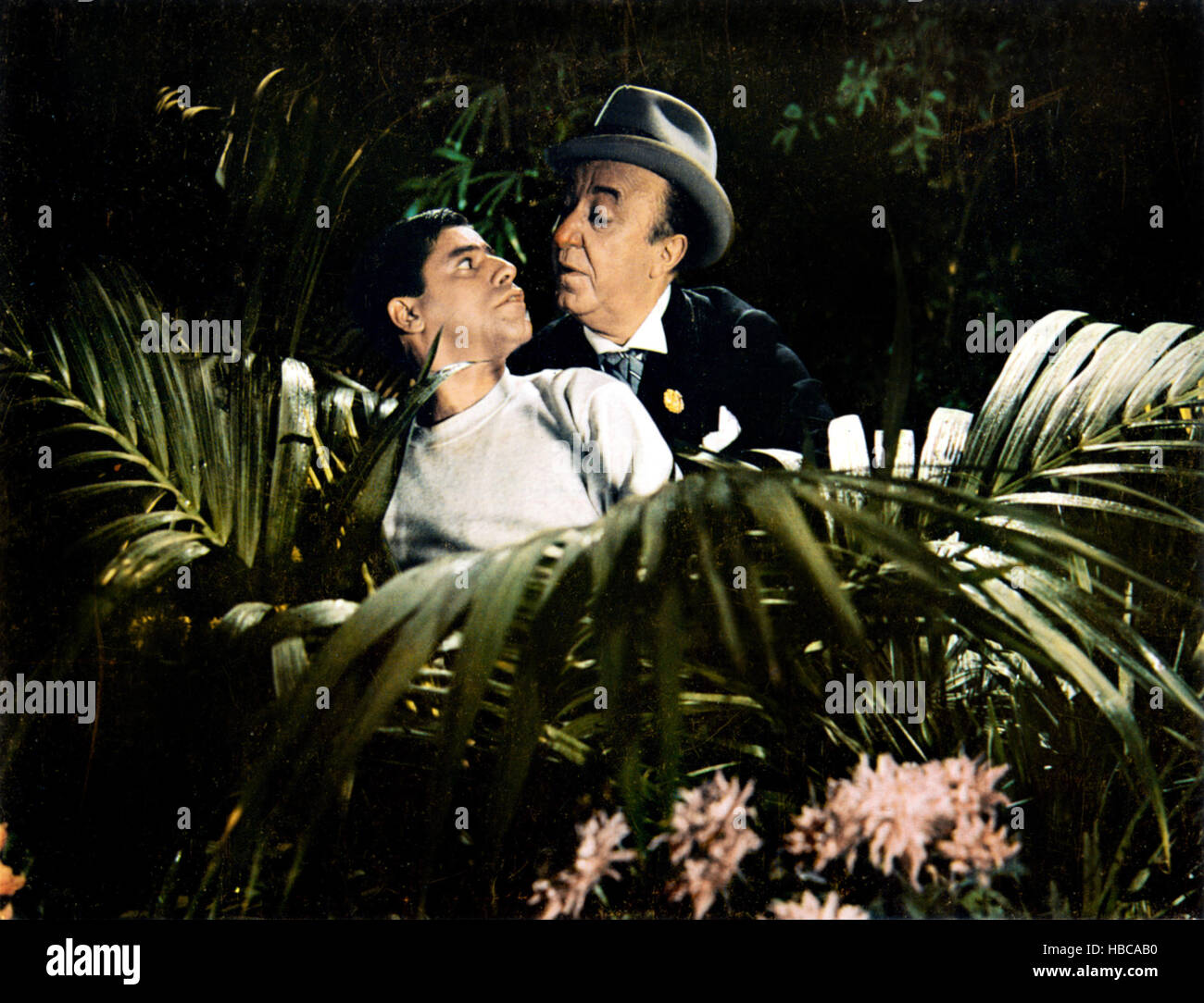 CINDERFELLA, Jerry Lewis, Ed Wynn, 1960 Stock Photo - Alamy