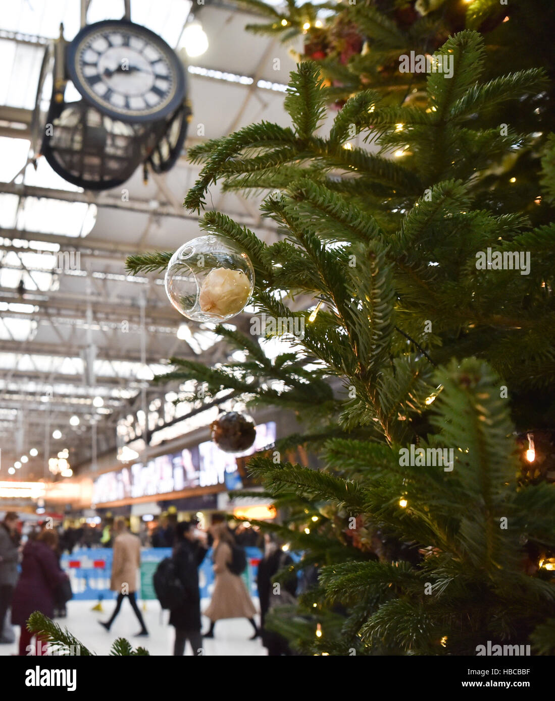 Waterloo station christmas tree hi-res stock photography and images - Alamy