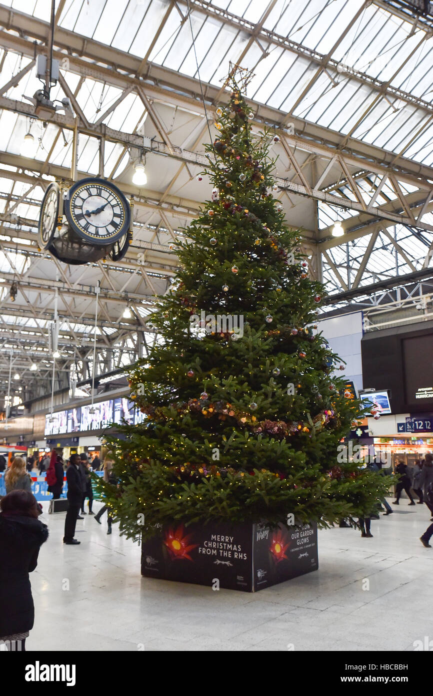 Waterloo station christmas tree hi-res stock photography and images - Alamy