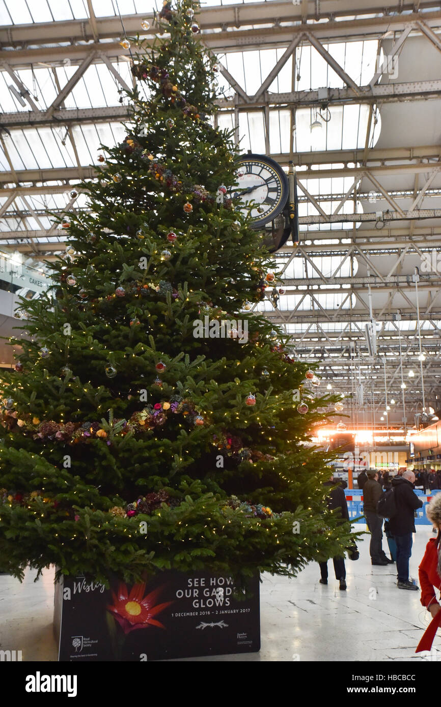 Waterloo station christmas tree hi-res stock photography and images - Alamy