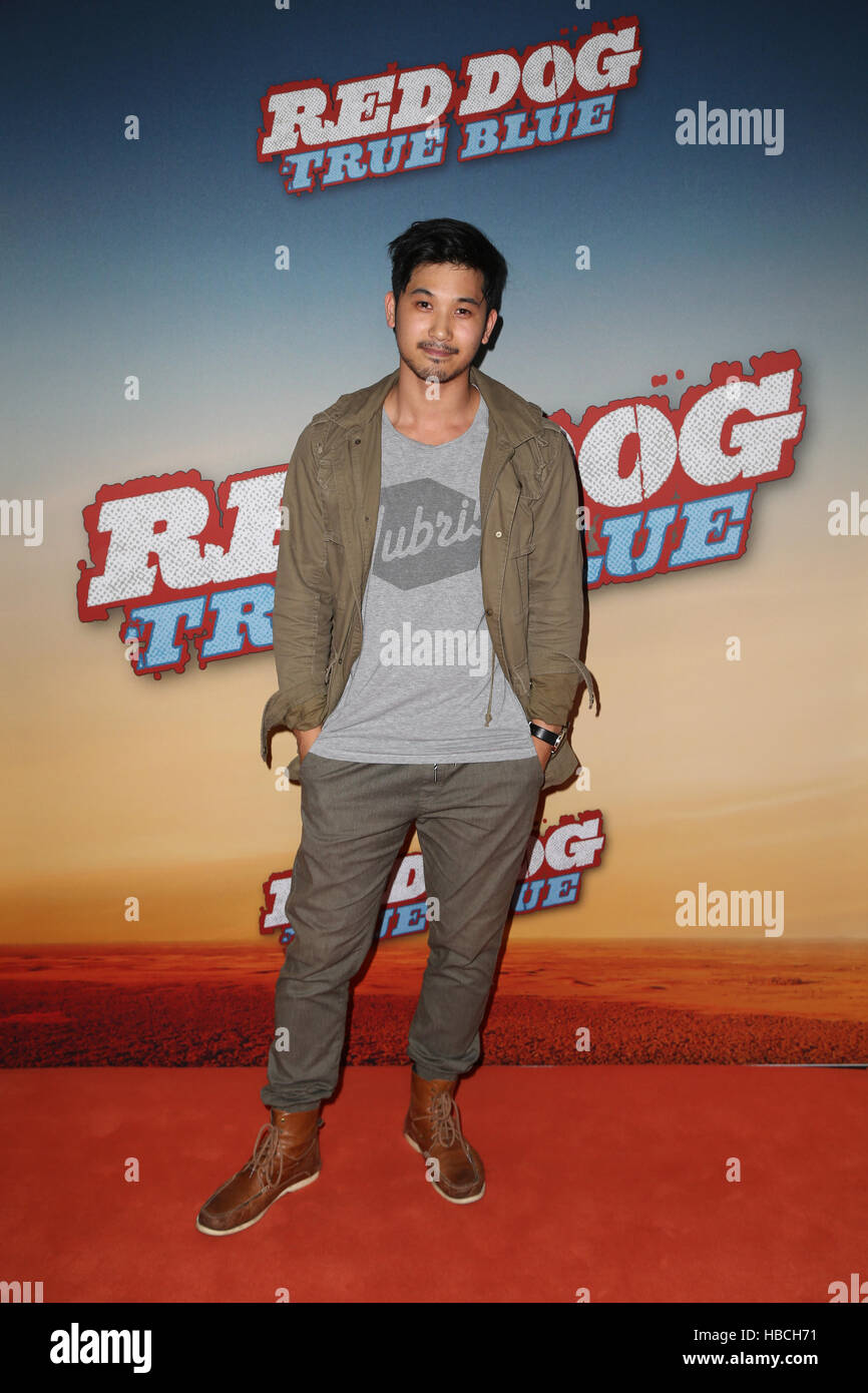 Sydney, Australia. 6 December 2016. Pictured: Jon Prasida. Local ...