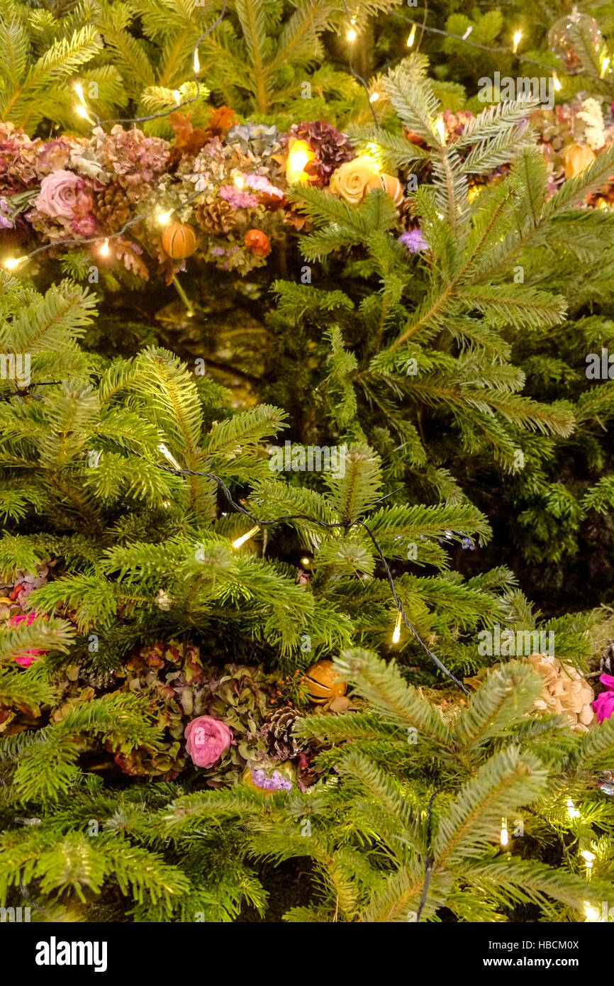 Waterloo station christmas tree hi-res stock photography and images - Alamy