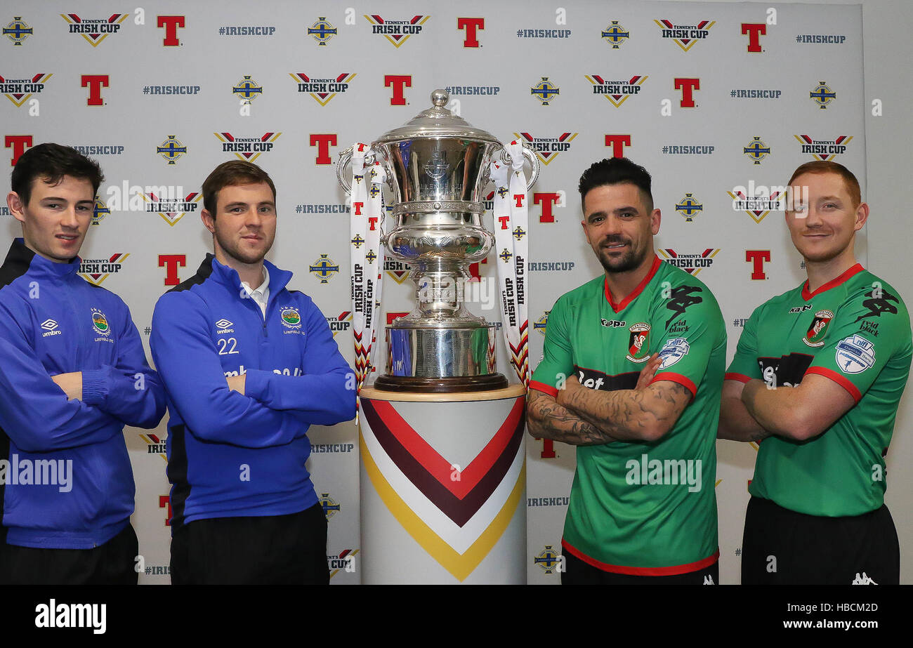 National Football Stadium at Windsor Park, Belfast. 06th December 2016 ...