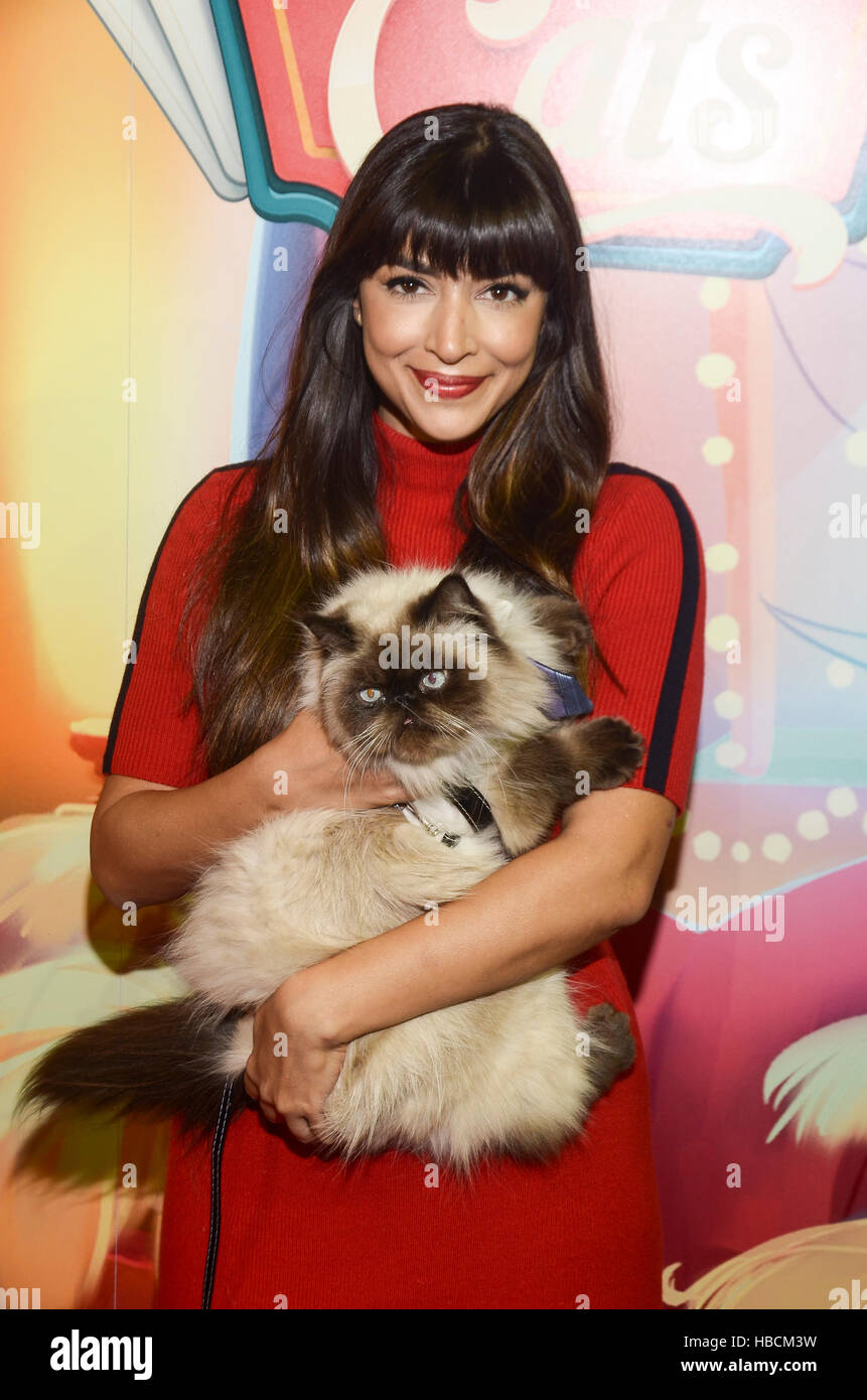New York, NY, USA. 6th Dec, 2016. Hannah Simone attends the launch of ...