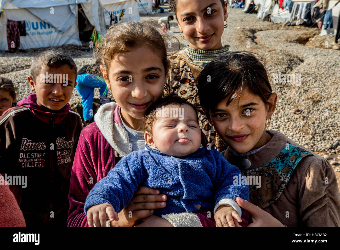 Hasansham, Ninewa Province, IRAQ. 3rd Dec, 2016. Newly displaced ...