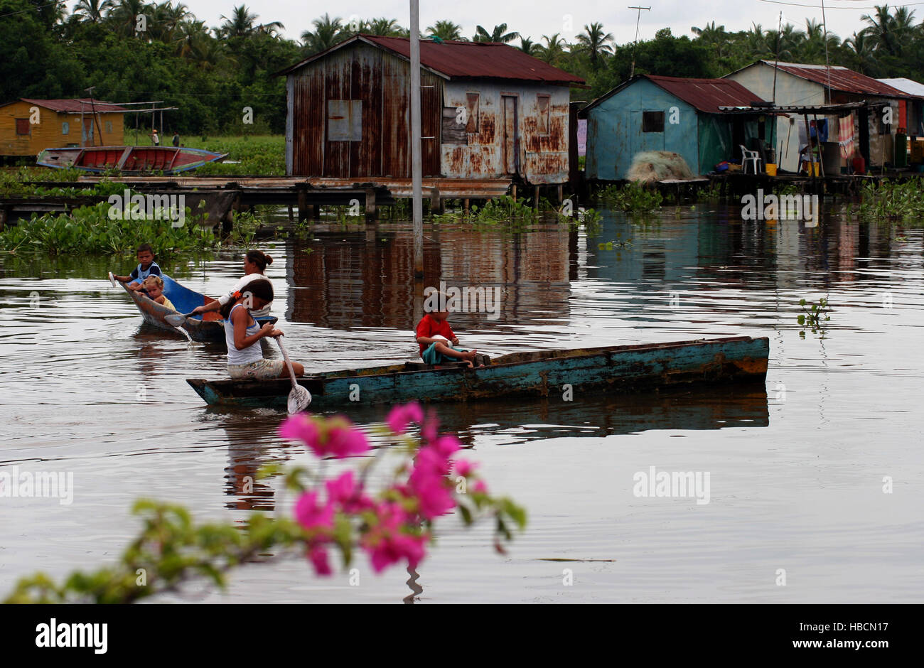 Congo mirador hi-res stock photography and images - Alamy