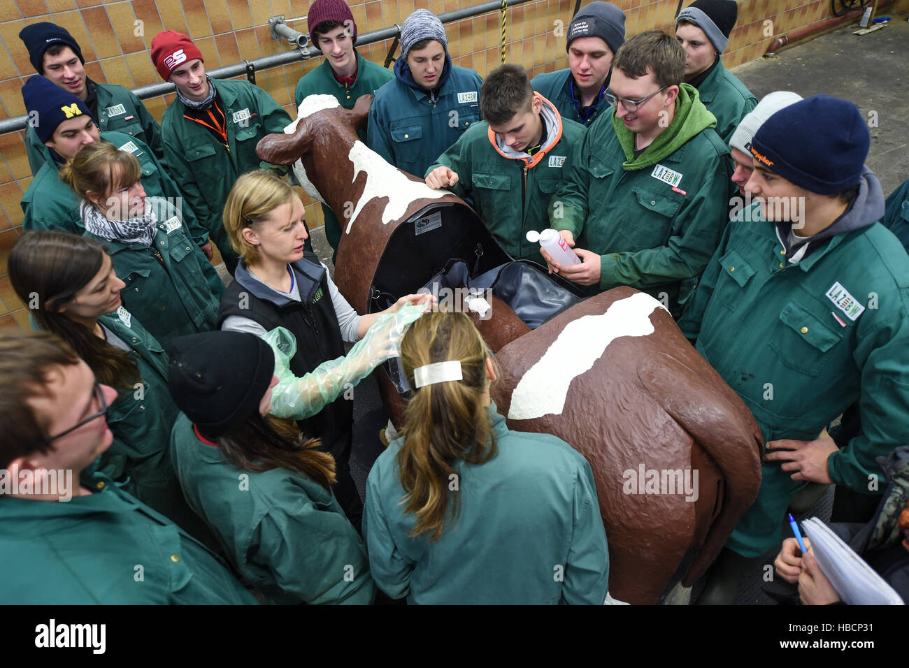 Life sized model of a cow hi-res stock photography and images - Alamy