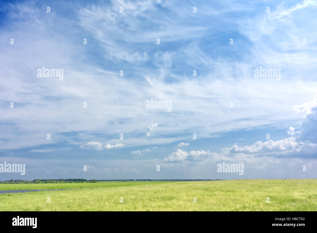 green field background Stock Photo - Alamy