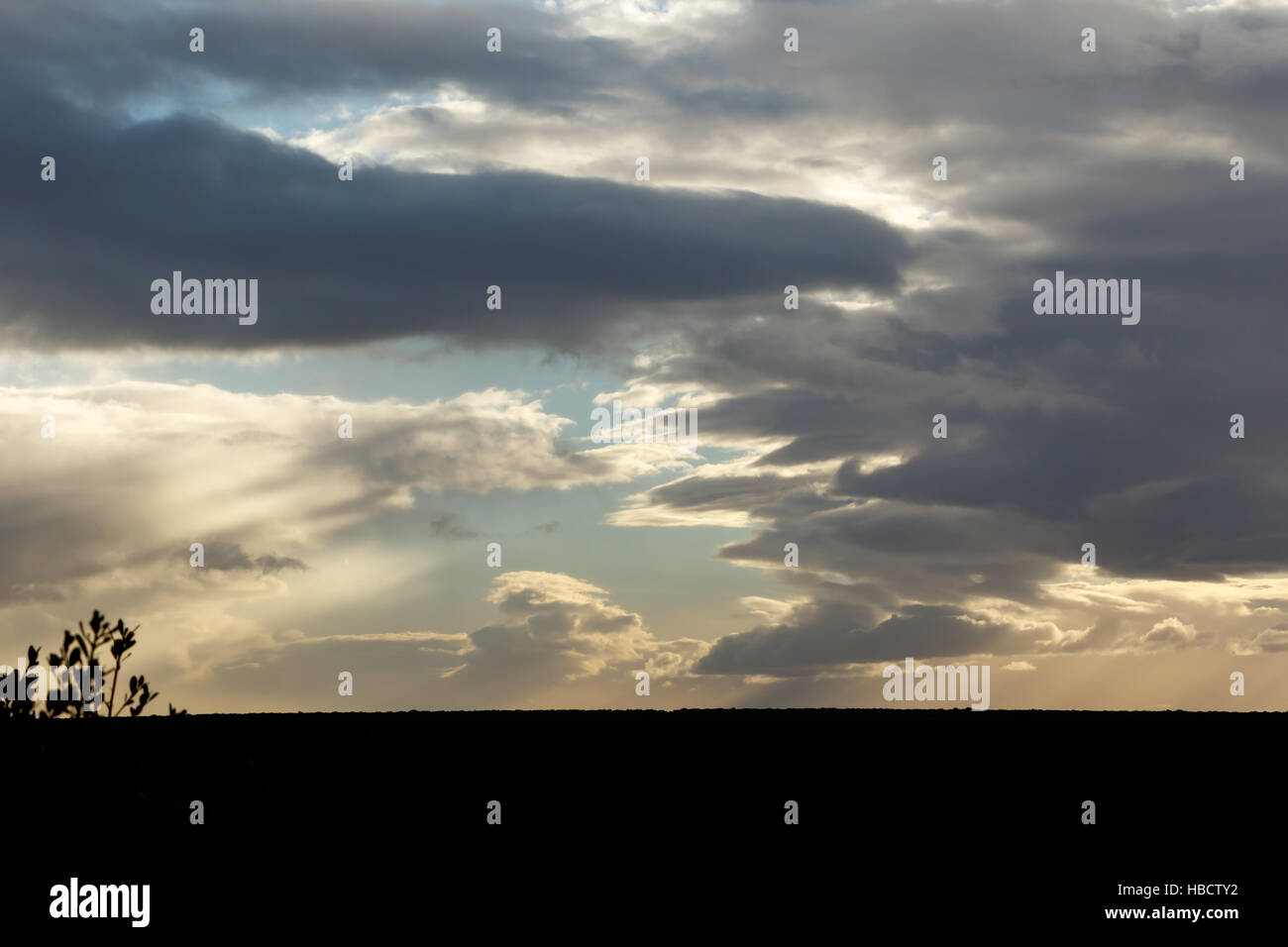 Life - Addo Landscape Stock Photo - Alamy