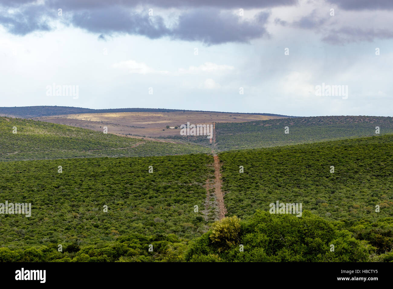 The Green - Addo Landscape Stock Photo - Alamy