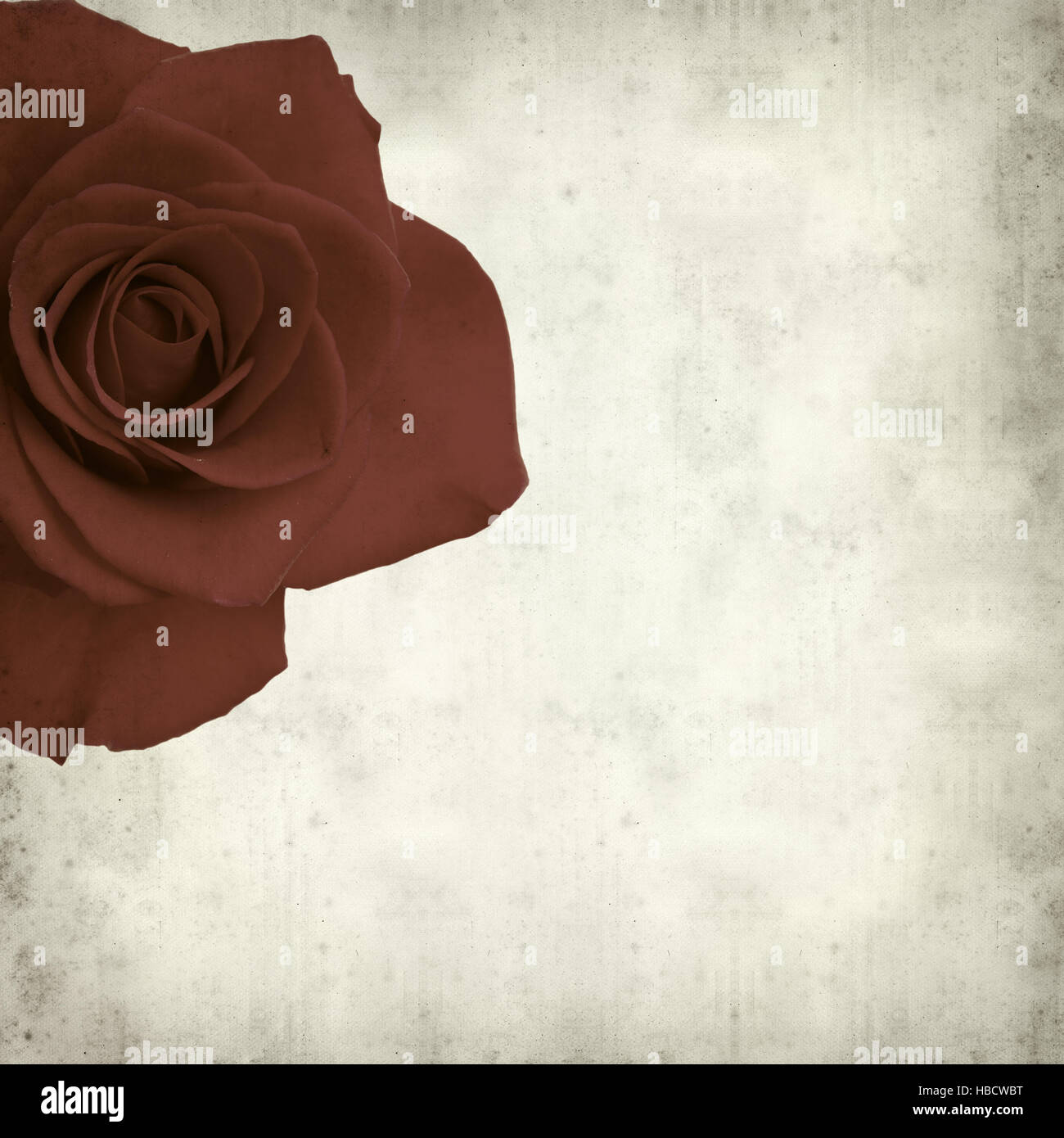 textured old paper background with dark red rose Stock Photo - Alamy