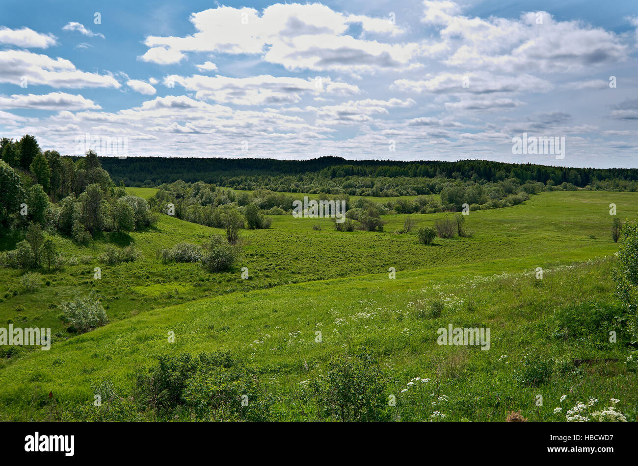 Russian spring meadow Stock Photo - Alamy