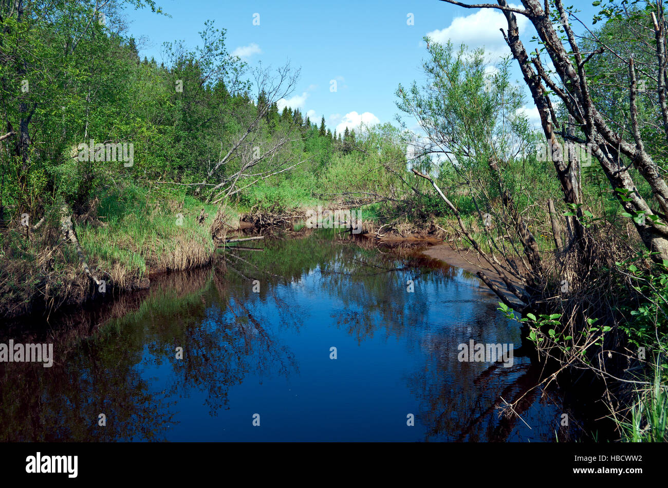 River reflections sun field trees hi-res stock photography and images ...