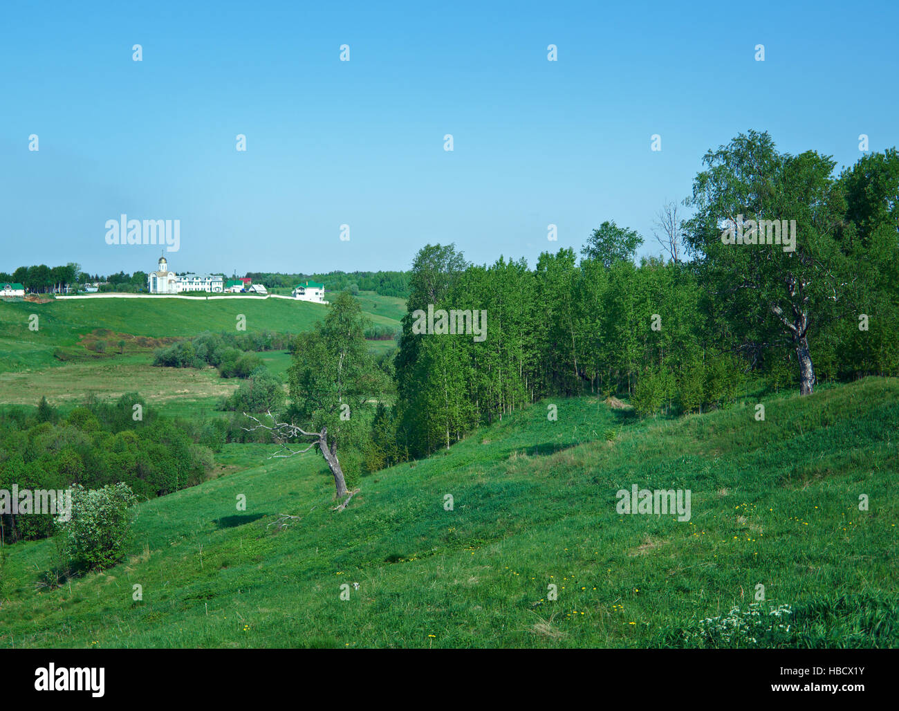Russian spring meadow Stock Photo - Alamy