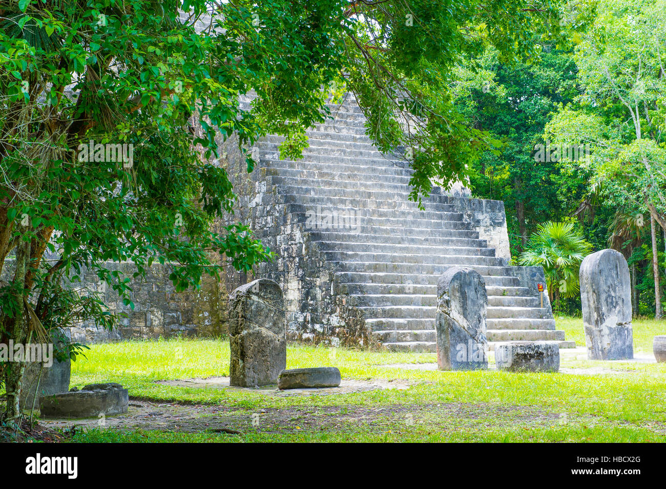 The archaeological site of the pre-Columbian Maya civilization in Tikal ...