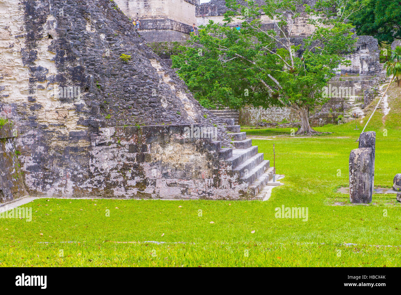 The archaeological site of the pre-Columbian Maya civilization in Tikal ...