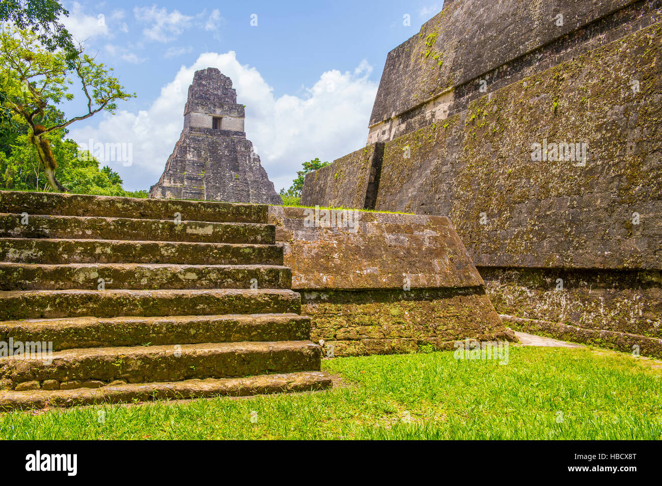 The archaeological site of the pre-Columbian Maya civilization in Tikal ...