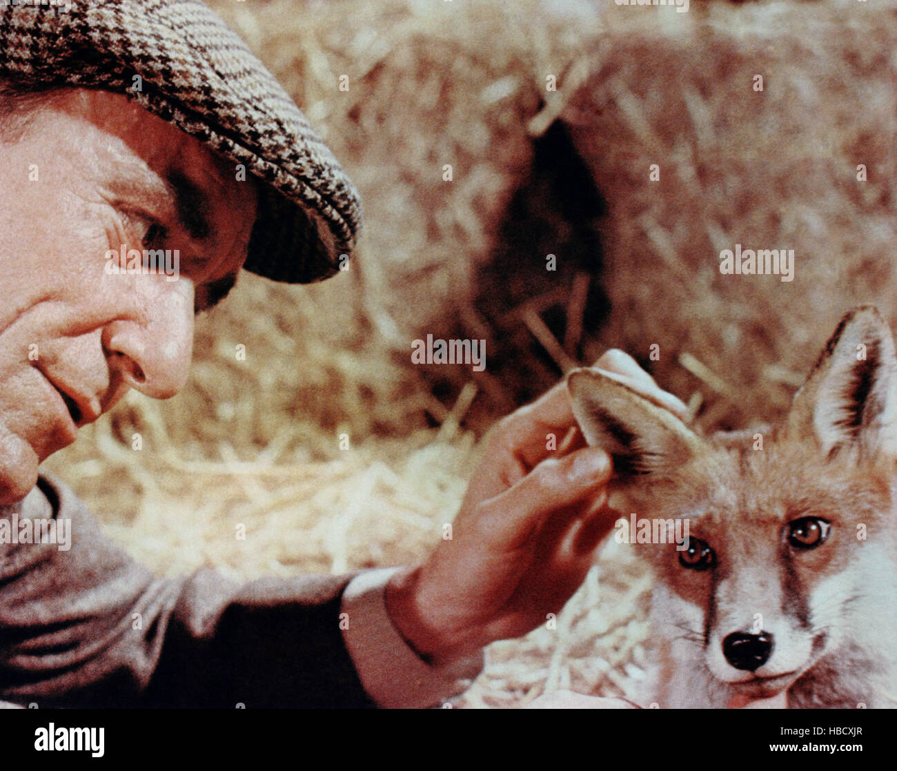 THE BELSTONE FOX, Eric Porter, 1976 Stock Photo - Alamy