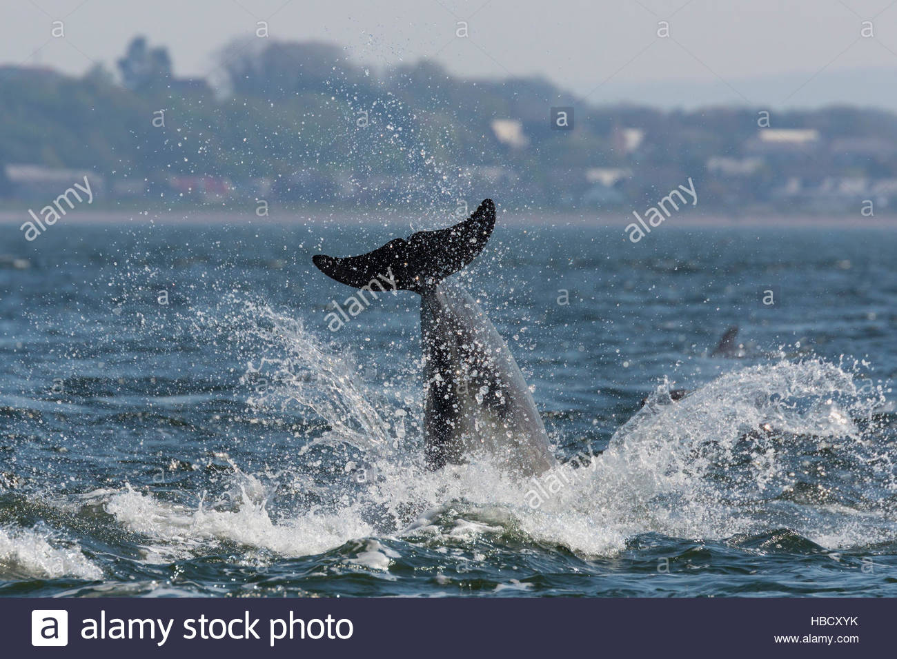 Fortrose Scotland High Resolution Stock Photography and Images - Alamy