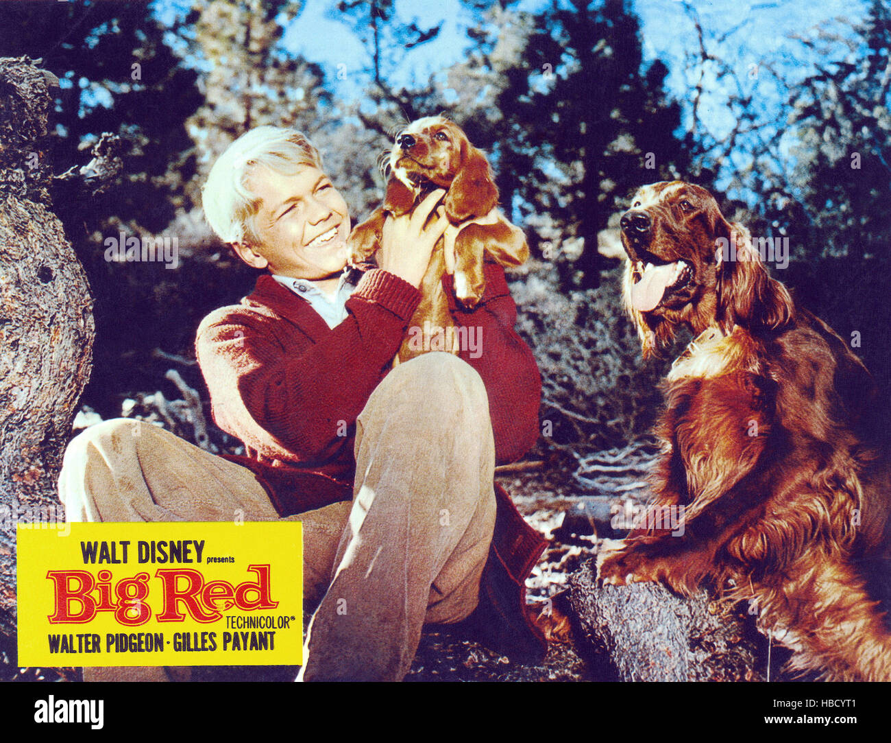 BIG RED, Gilles Payant, 1962 Stock Photo - Alamy