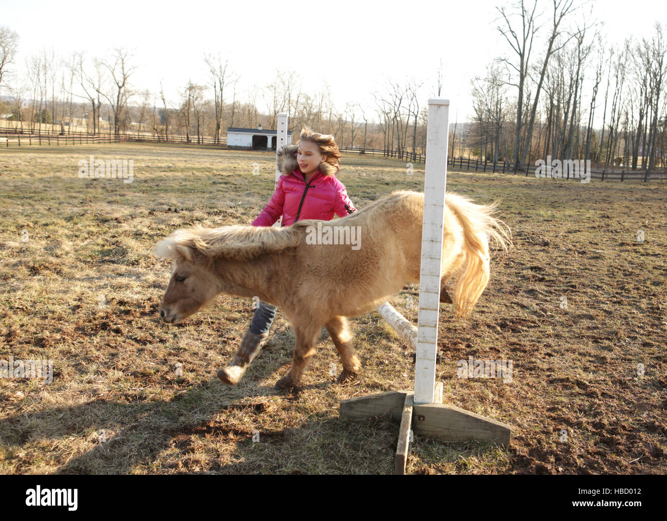 Young girl outdoors, guiding pony over bar Stock Photo - Alamy