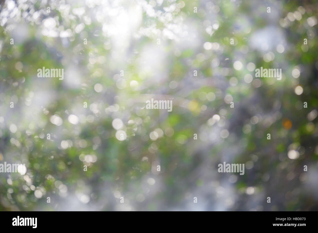 Weather fleck hi-res stock photography and images - Alamy