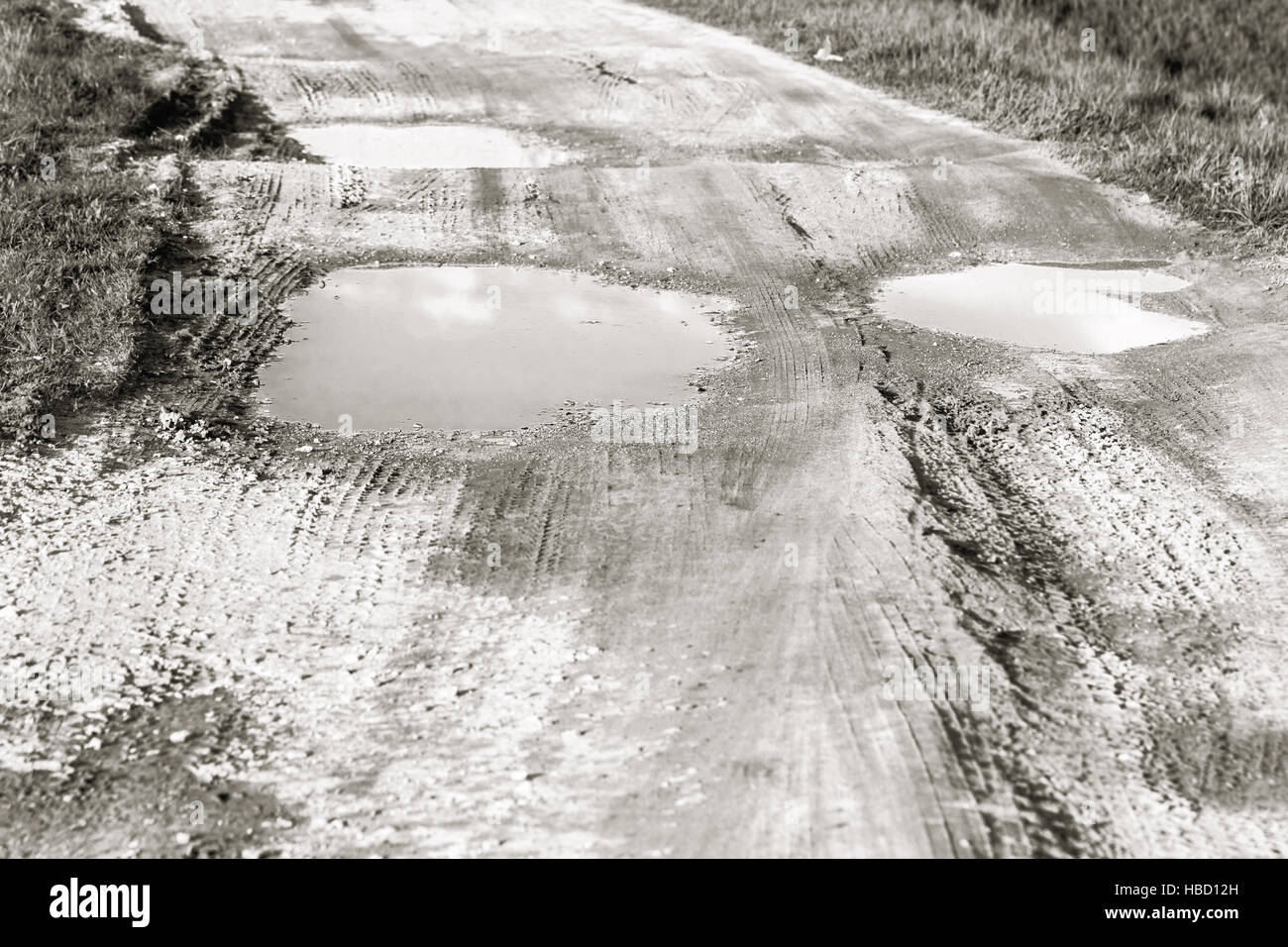 Big puddles on dirt road at summer day in black and white Stock Photo ...