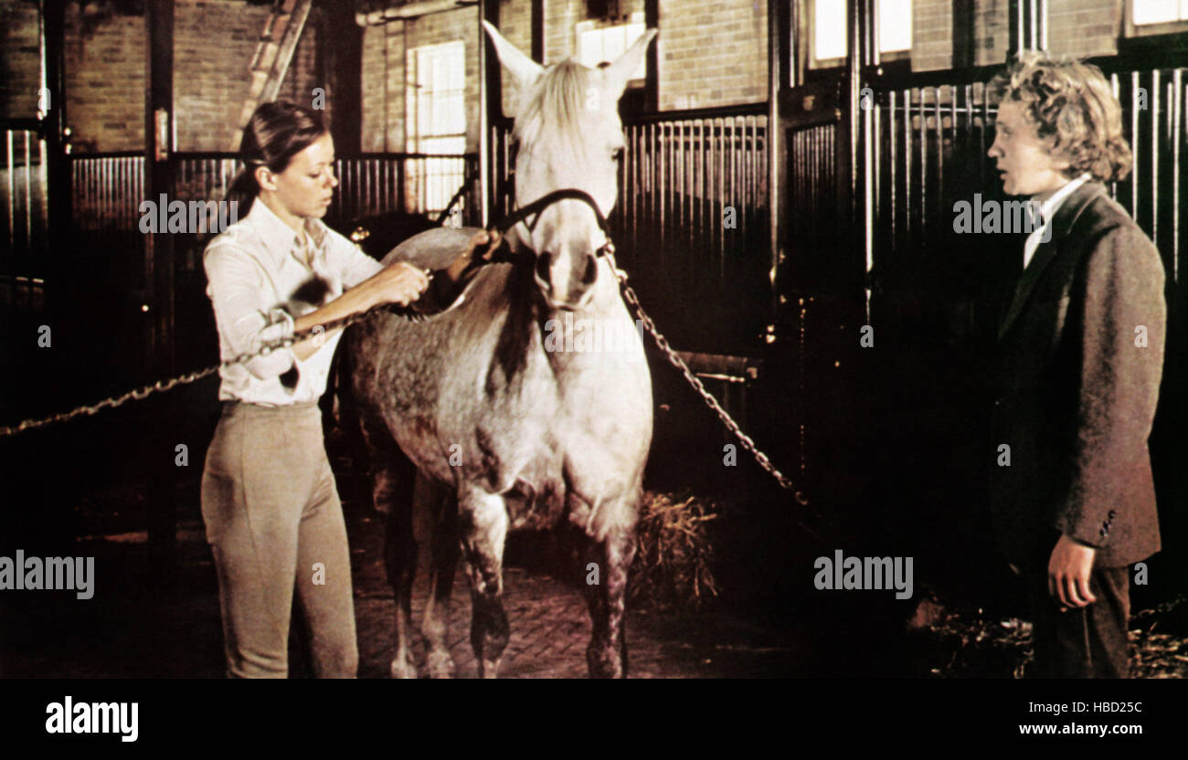 EQUUS, from left: Jenny Agutter, Peter Firth, 1977 Stock Photo - Alamy