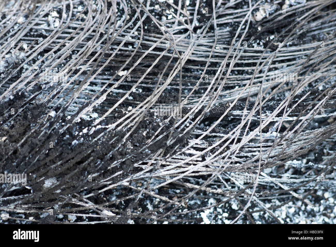 burned steel cord Stock Photo - Alamy
