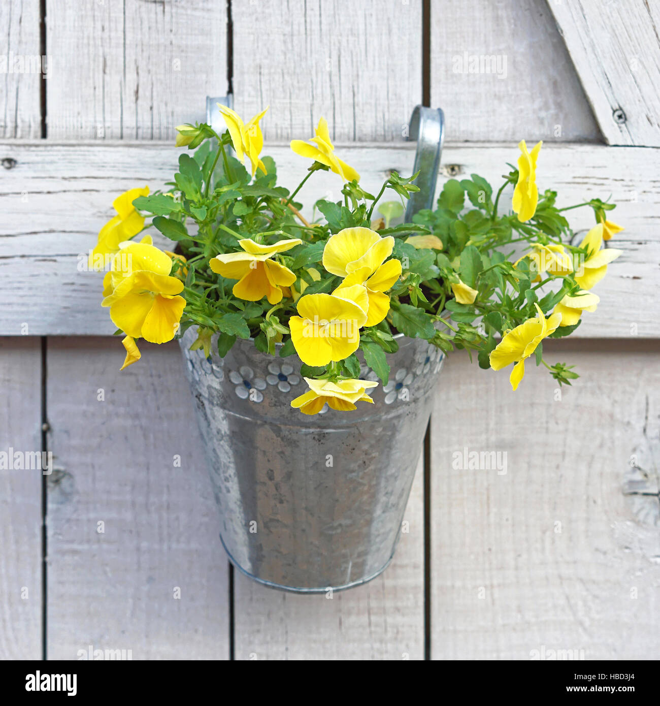 Decor bucket hi-res stock photography and images - Alamy