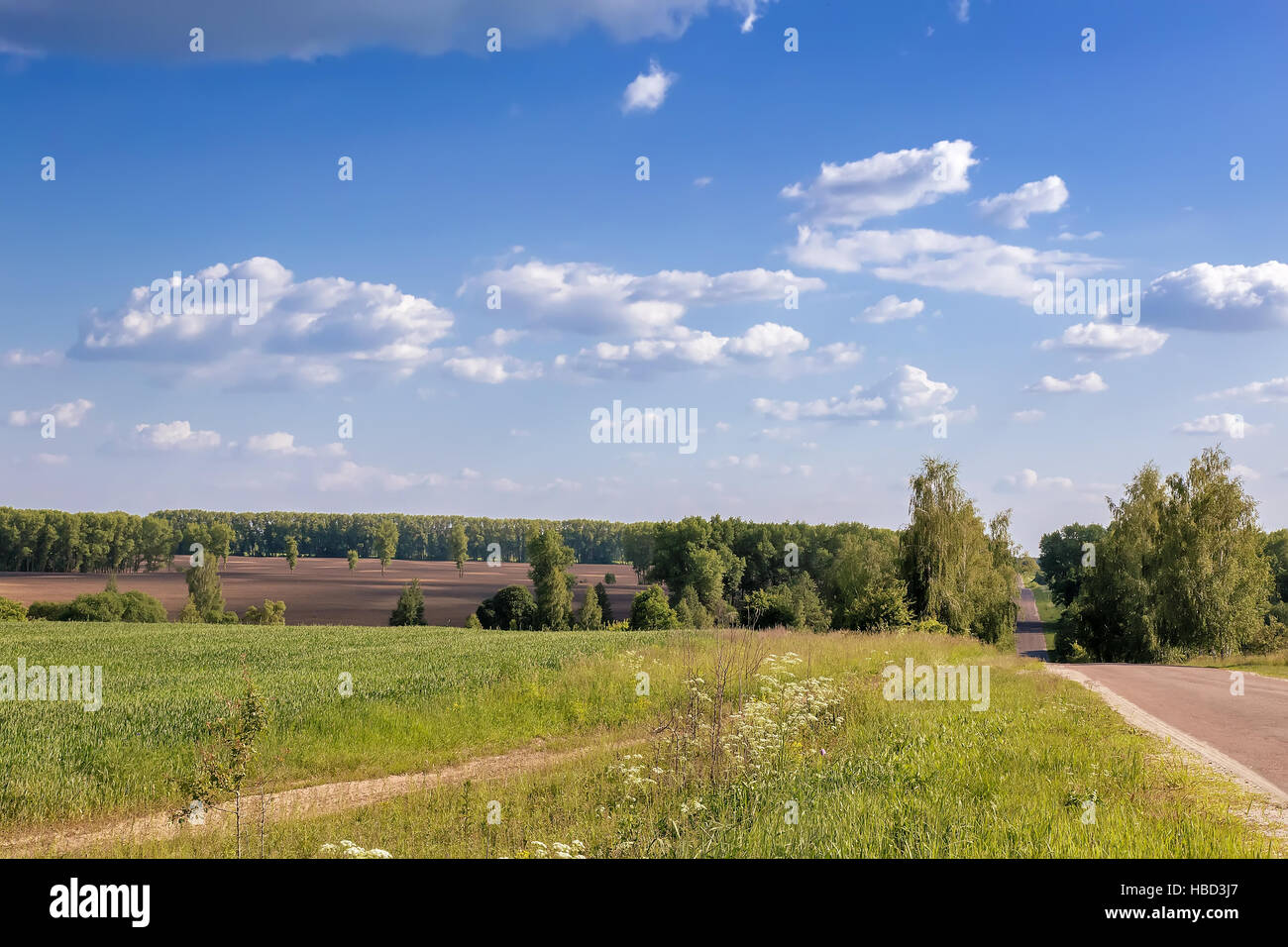 Summer landscape on a clear Sunny day Stock Photo - Alamy