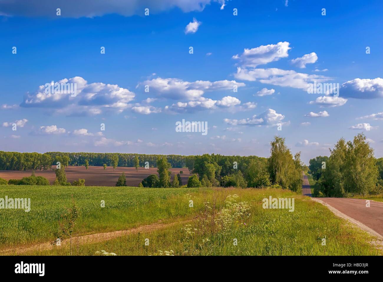 Summer landscape on a clear Sunny day Stock Photo - Alamy