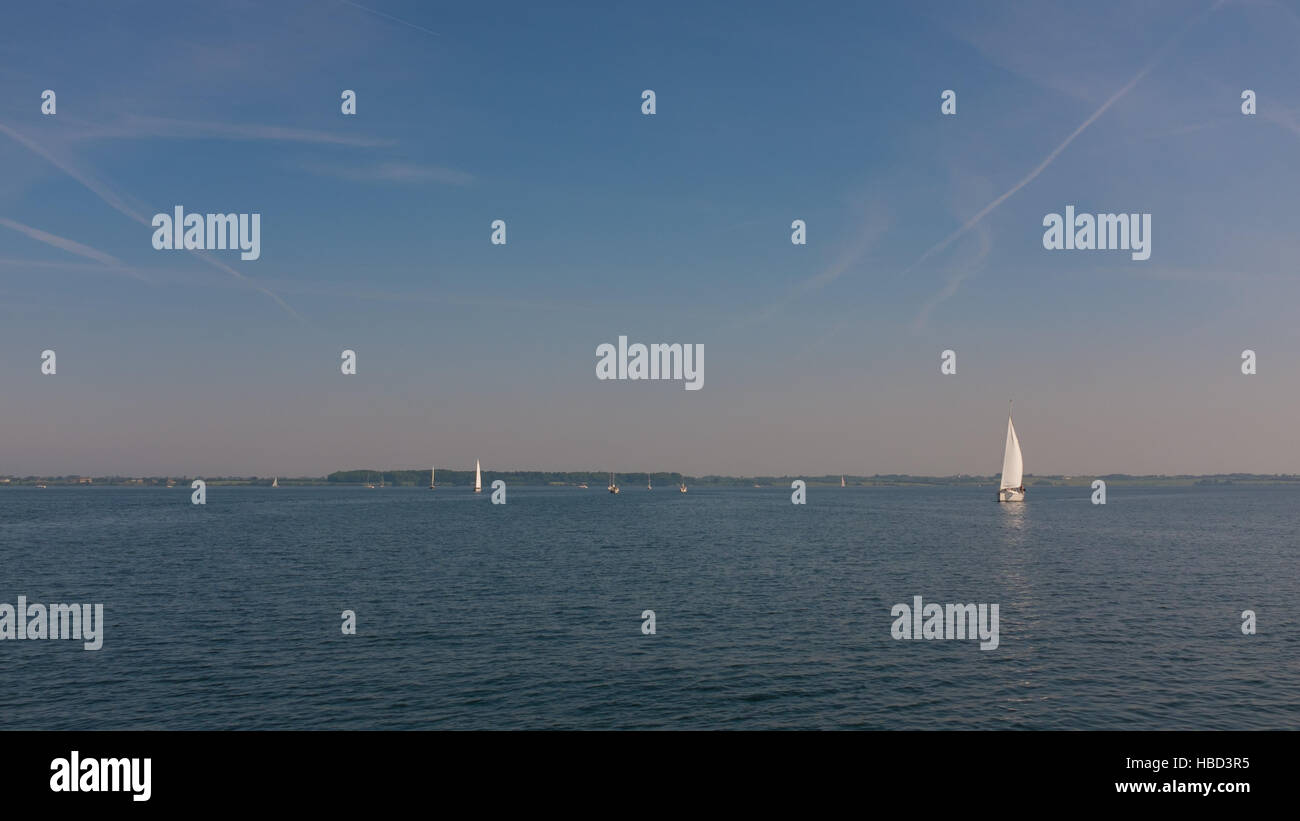 Sei background hi-res stock photography and images - Alamy