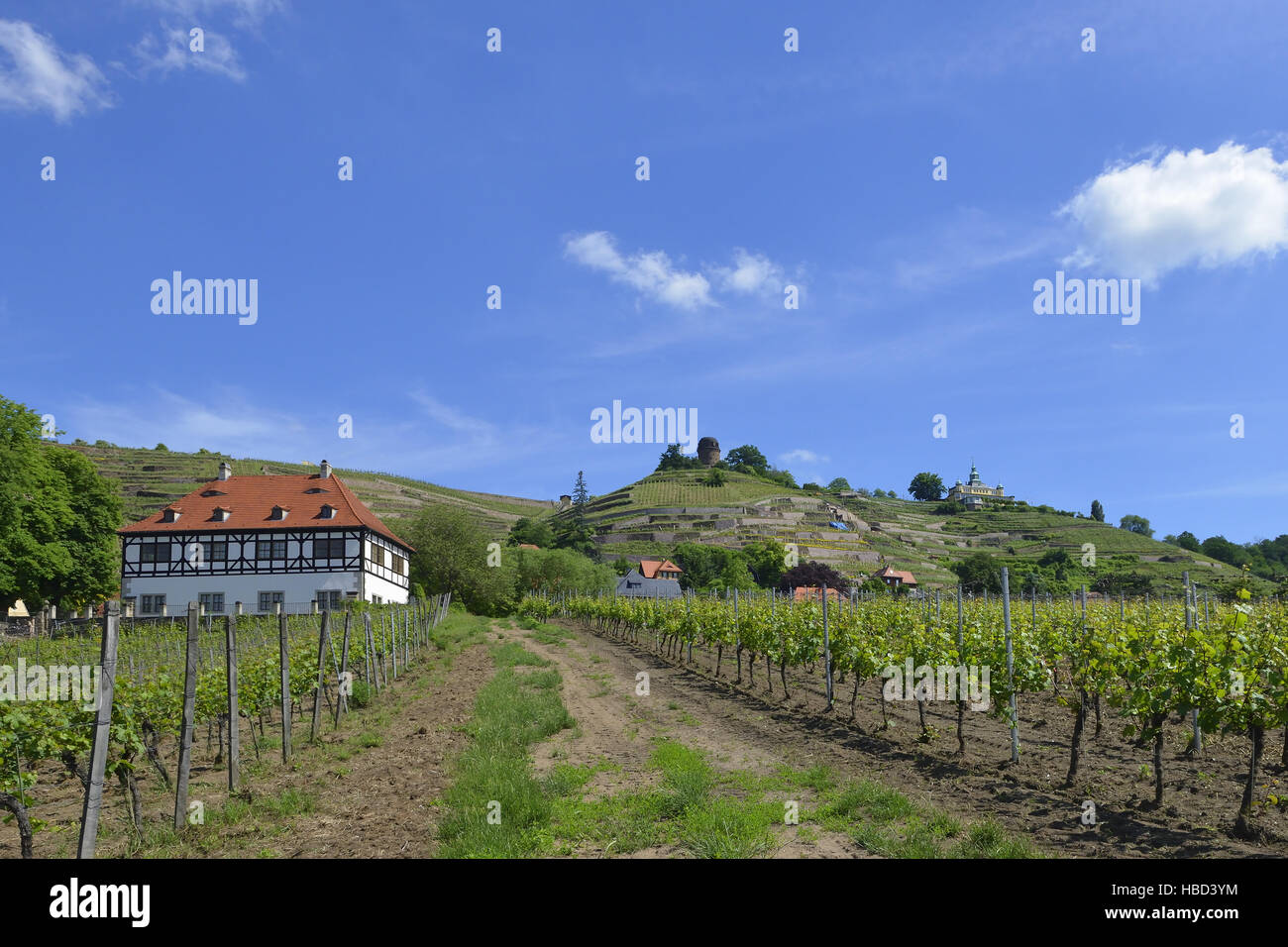 Goldener wagen hi-res stock photography and images - Alamy