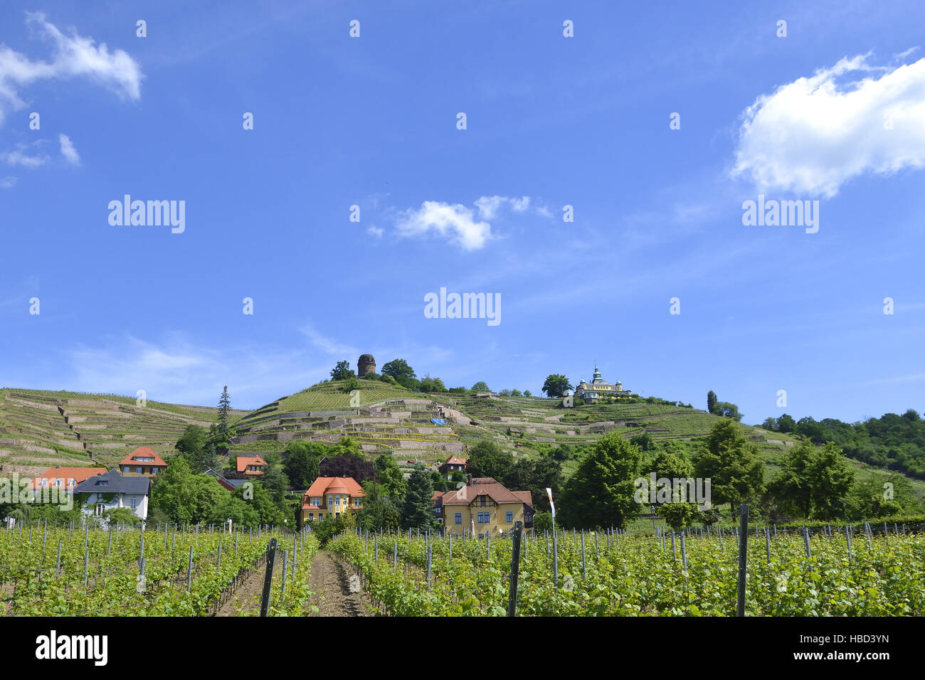 Radebeul hi-res stock photography and images - Alamy