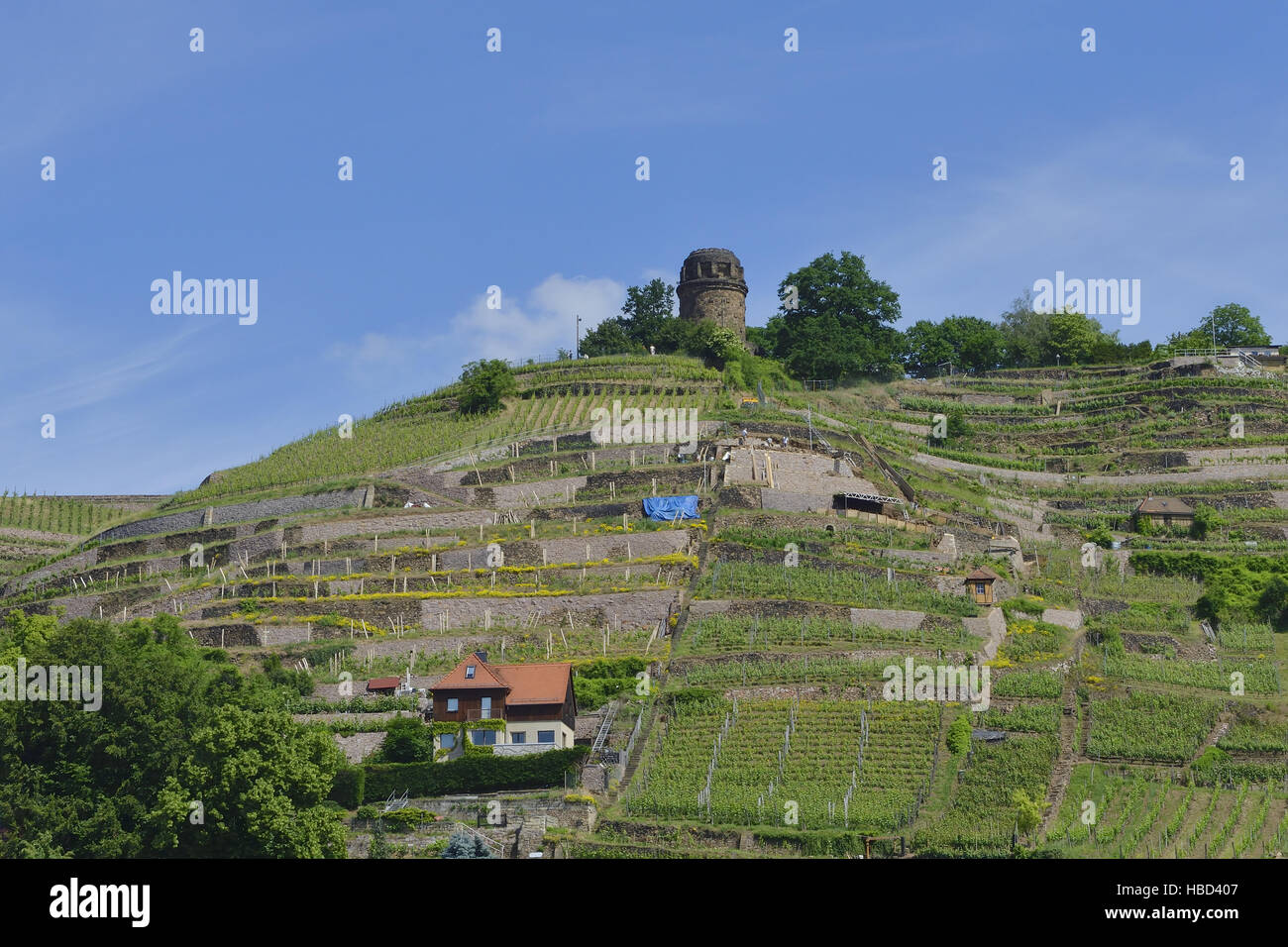 Radebeul hi-res stock photography and images - Alamy