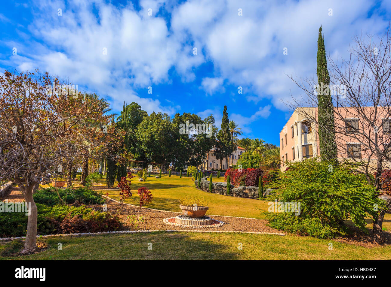 Lovely park lit sun Stock Photo - Alamy