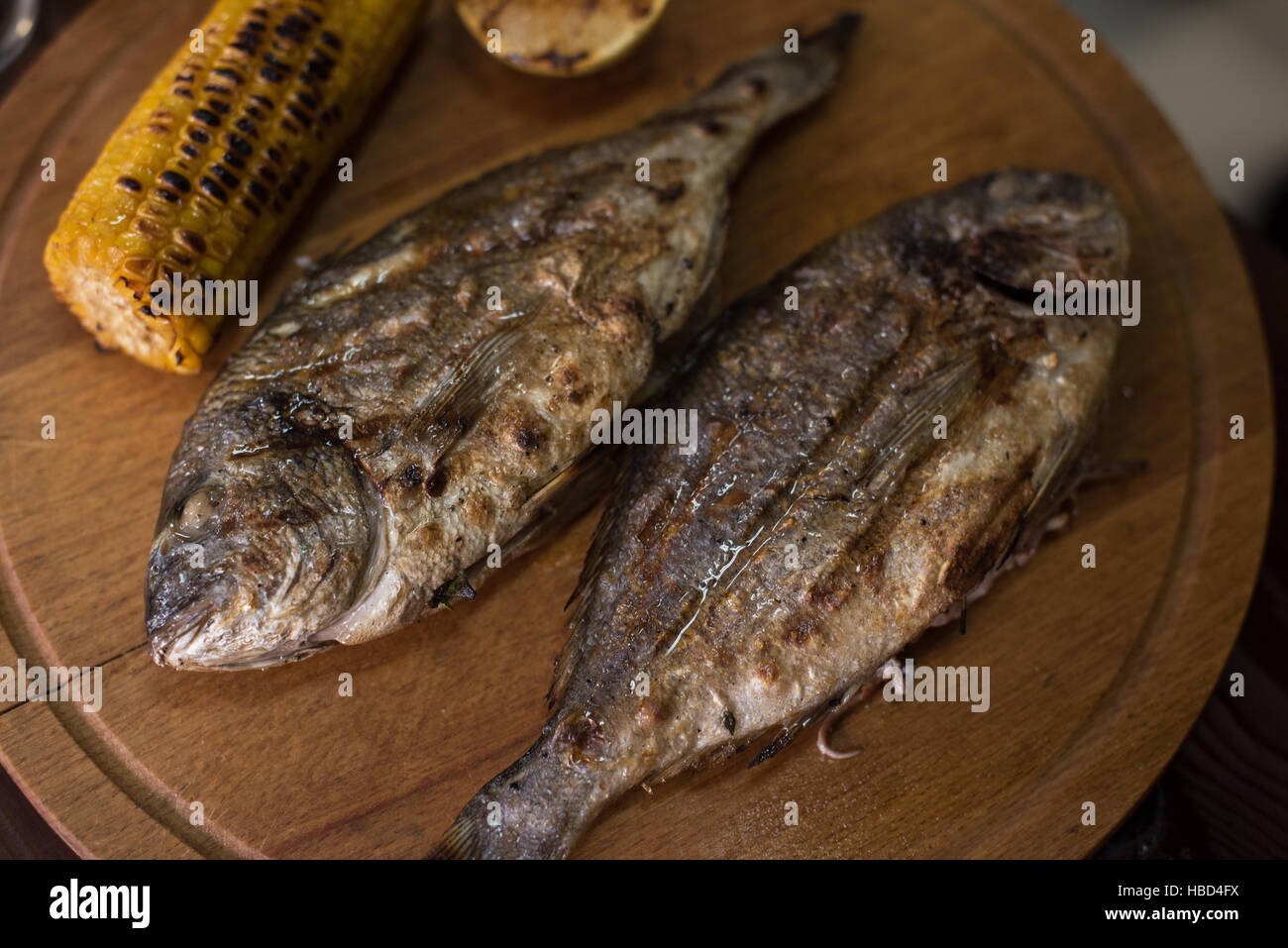 Coo coo fish hi-res stock photography and images - Alamy
