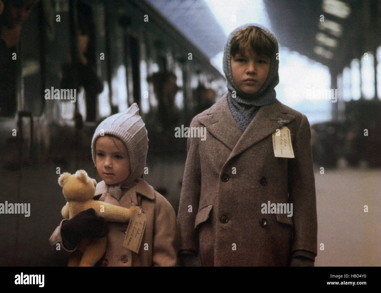 Sebastian bear hi-res stock photography and images - Alamy