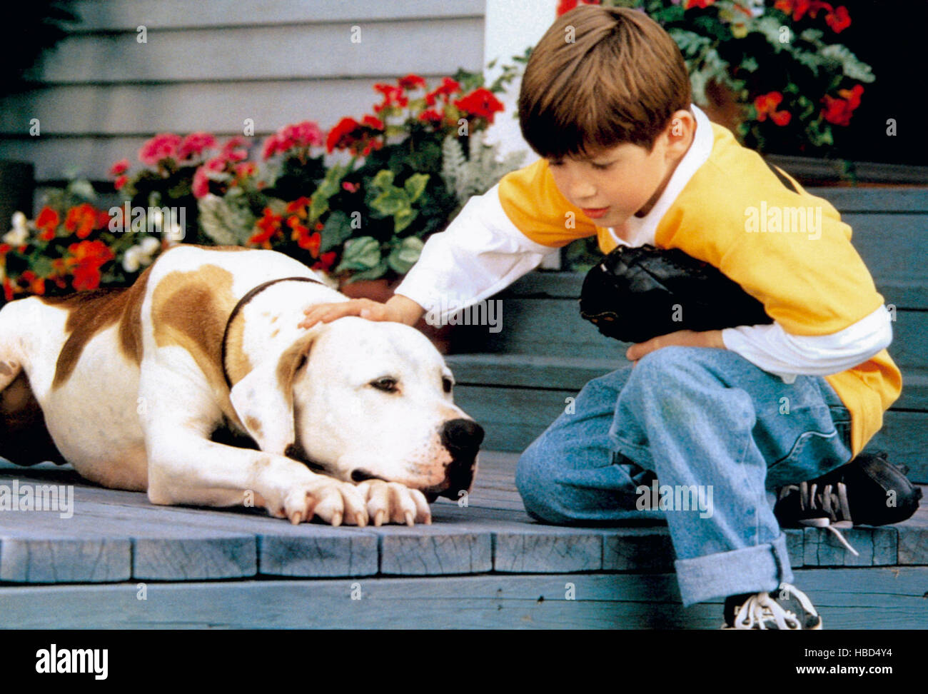 HOMEWARD BOUND II: LOST IN SANFRANCISCO, Kevin Chevalia, 1996, (c ...