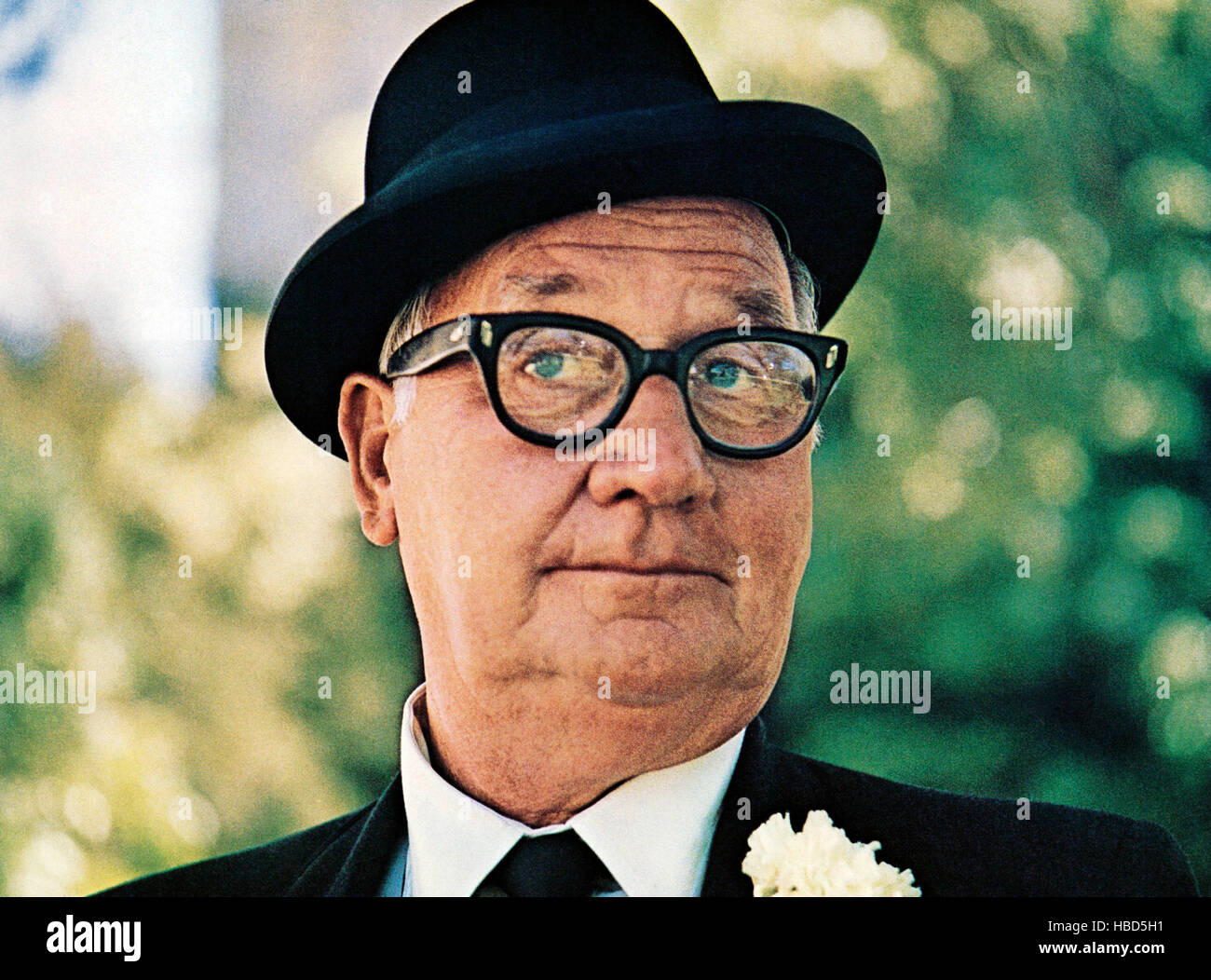 HOW TO FRAME A FIGG, Edward Andrews, 1971 Stock Photo - Alamy