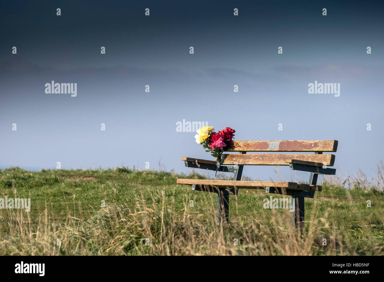 Memorial bench hi-res stock photography and images - Alamy
