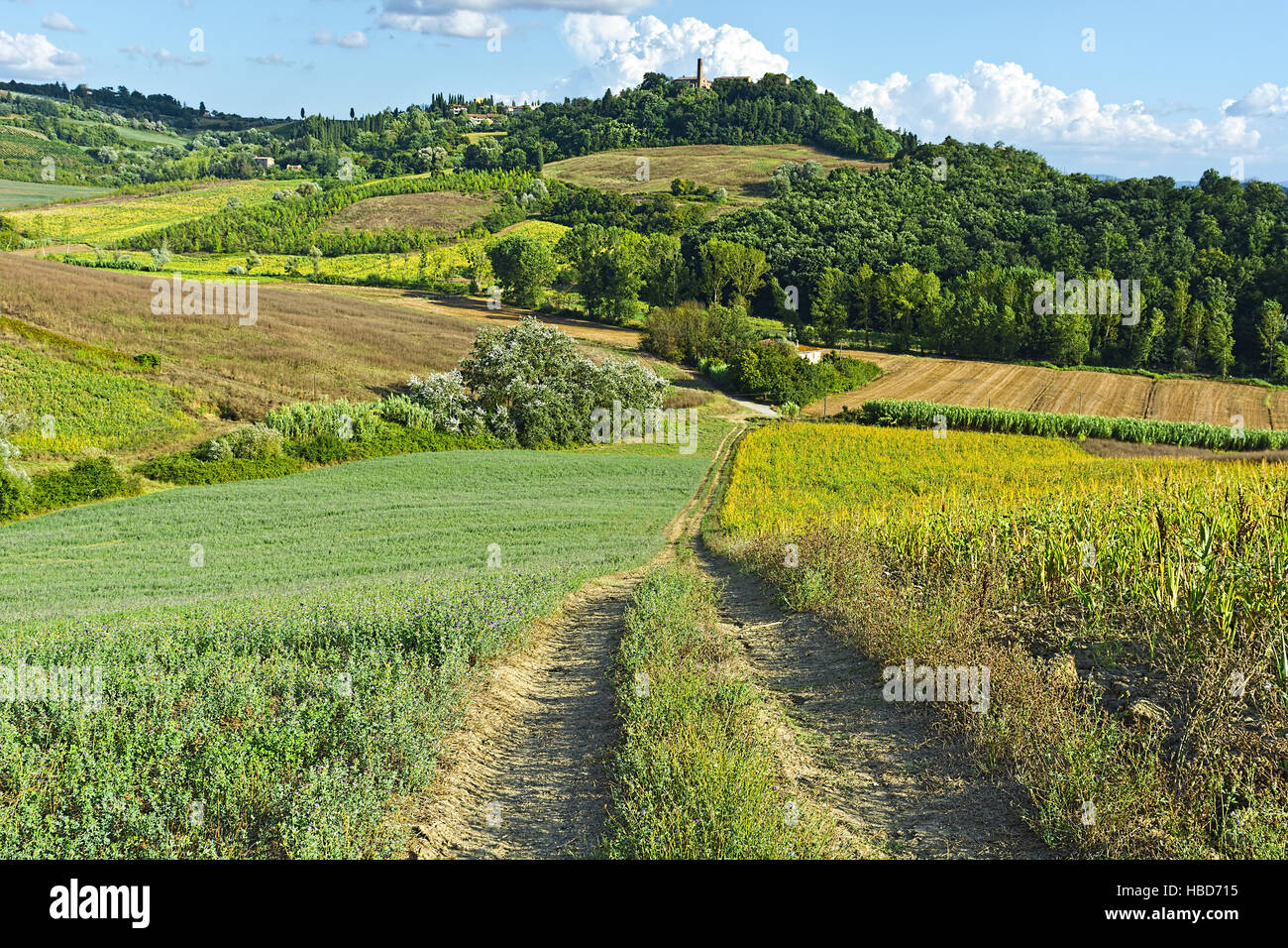 Fields in Italy Stock Photo - Alamy