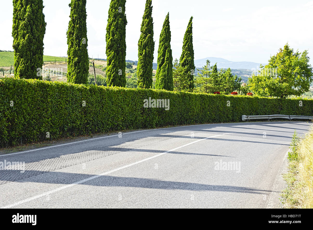 Agriculture hedges hi-res stock photography and images - Alamy