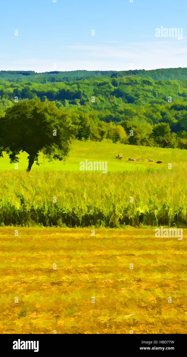 Plantation of Corn Stock Photo - Alamy