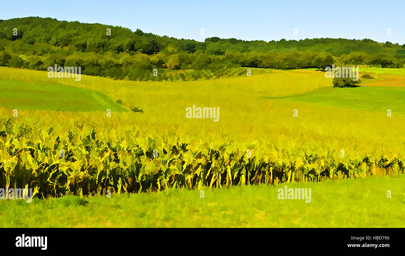 Plantation of Corn Stock Photo - Alamy