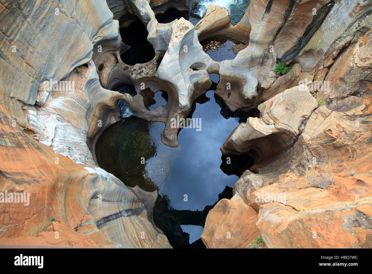 Ausges hi-res stock photography and images - Alamy