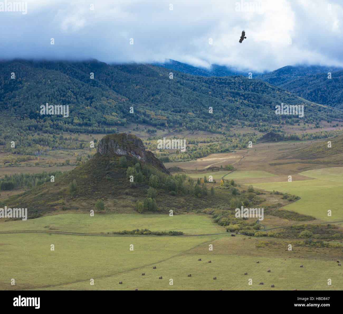 Altay mountains in Siberia Stock Photo - Alamy