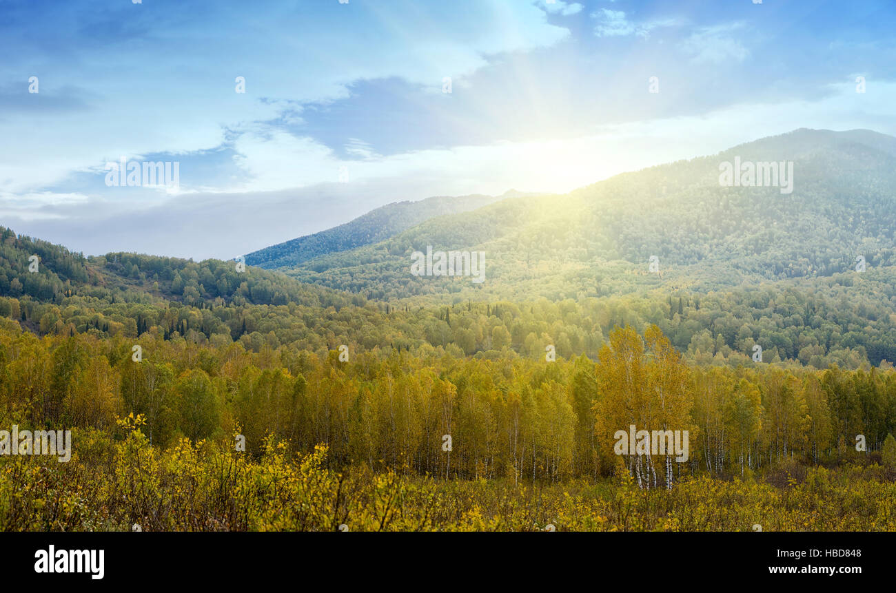 Altay mountains in Siberia Stock Photo - Alamy